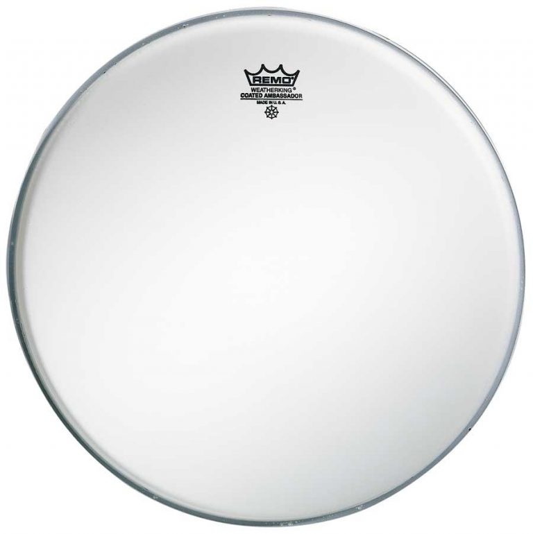 Ion Remo Weather King Ambassador Head 13" Buy